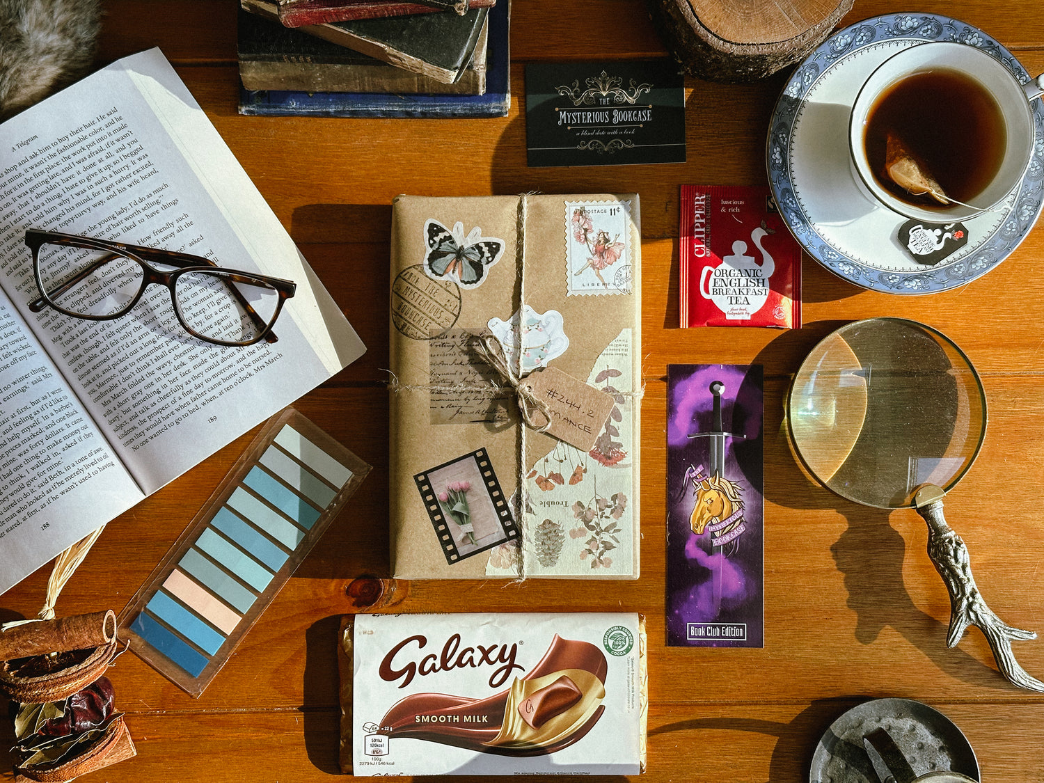 The Mysterious Bookcase - A Blind Date with a Book